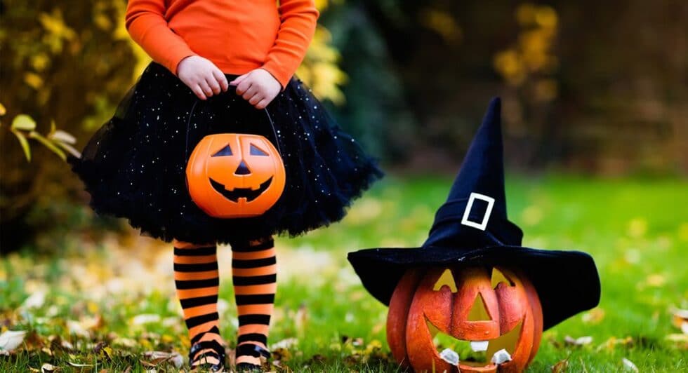 Ultimate Guide to Halloween Organizing for Super Spooky Fun | Just ...